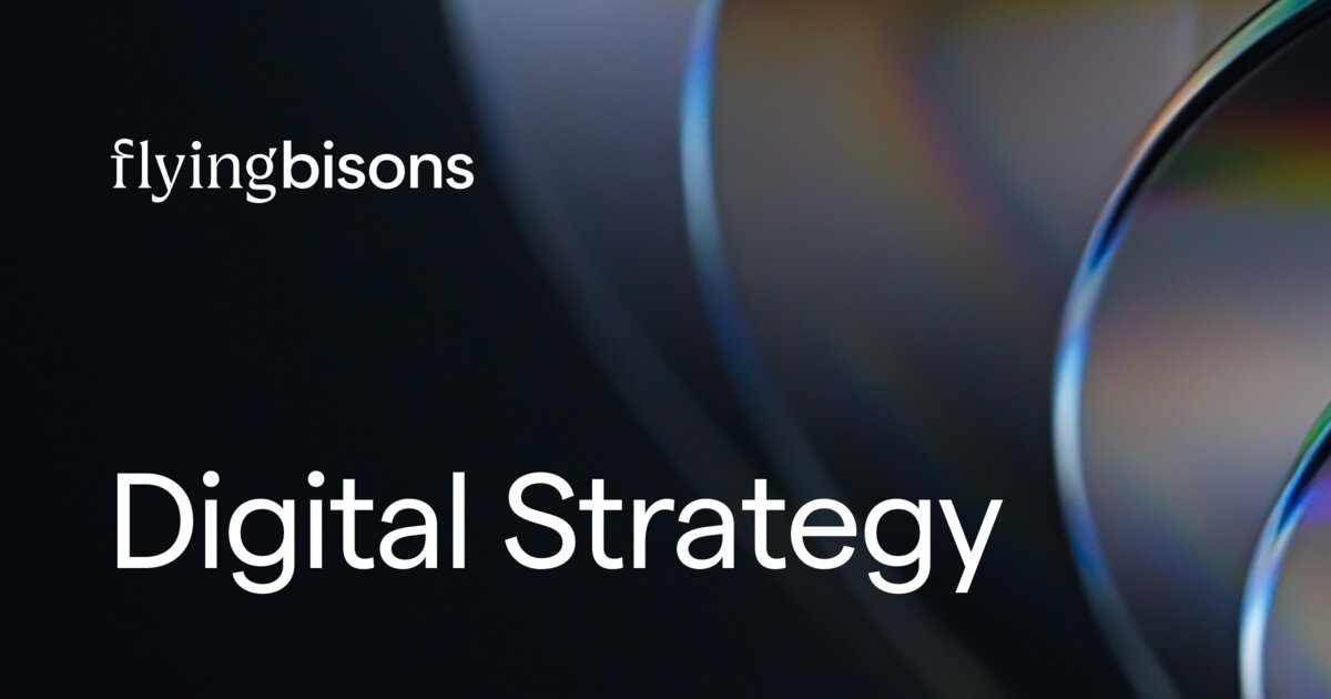Digital Strategy Services | Flying Bisons